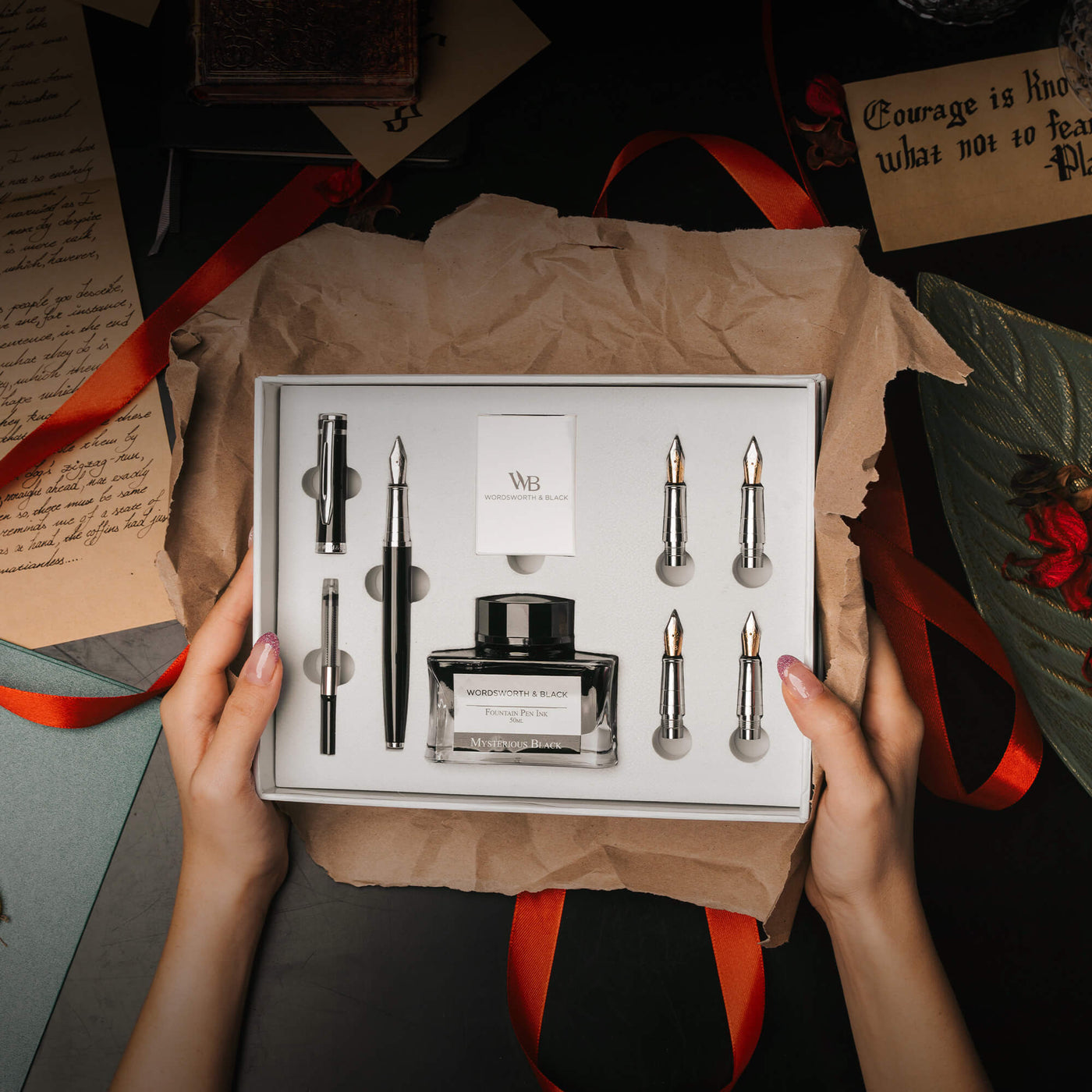 Fountain Pen Gift Set, Includes Ink Bottle, 6 Ink Cartridges, Ink Refi ...