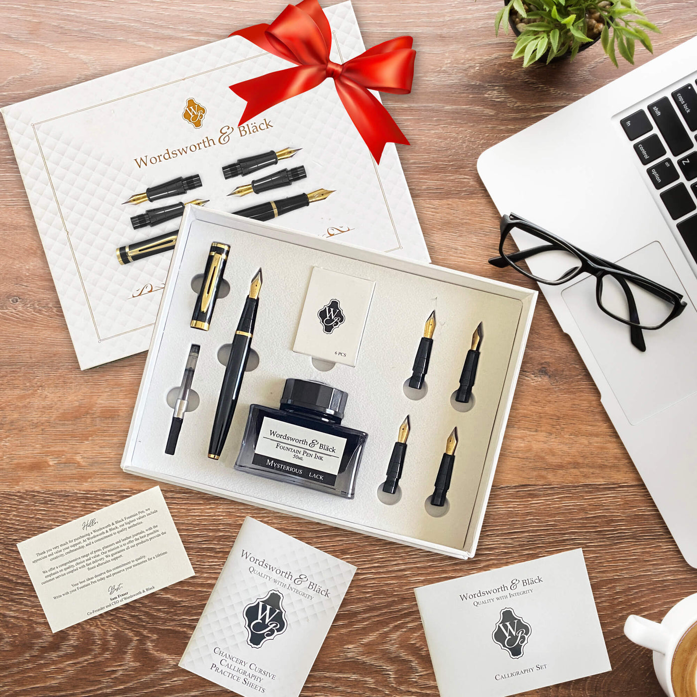 Fountain Pen Gift Set, Includes Ink Bottle, 6 Ink Cartridges, Ink Refi ...